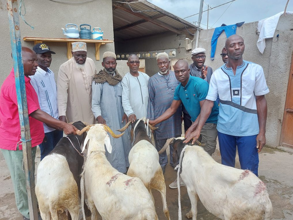 Marahoué/Côte-d’Ivoire: Épiphane Zoro Bi offre 15 béliers pour la ...