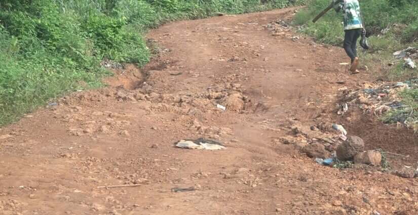 Est de la Côte-d’Ivoire/Le bitumage de l'ancienne "route du sel ...