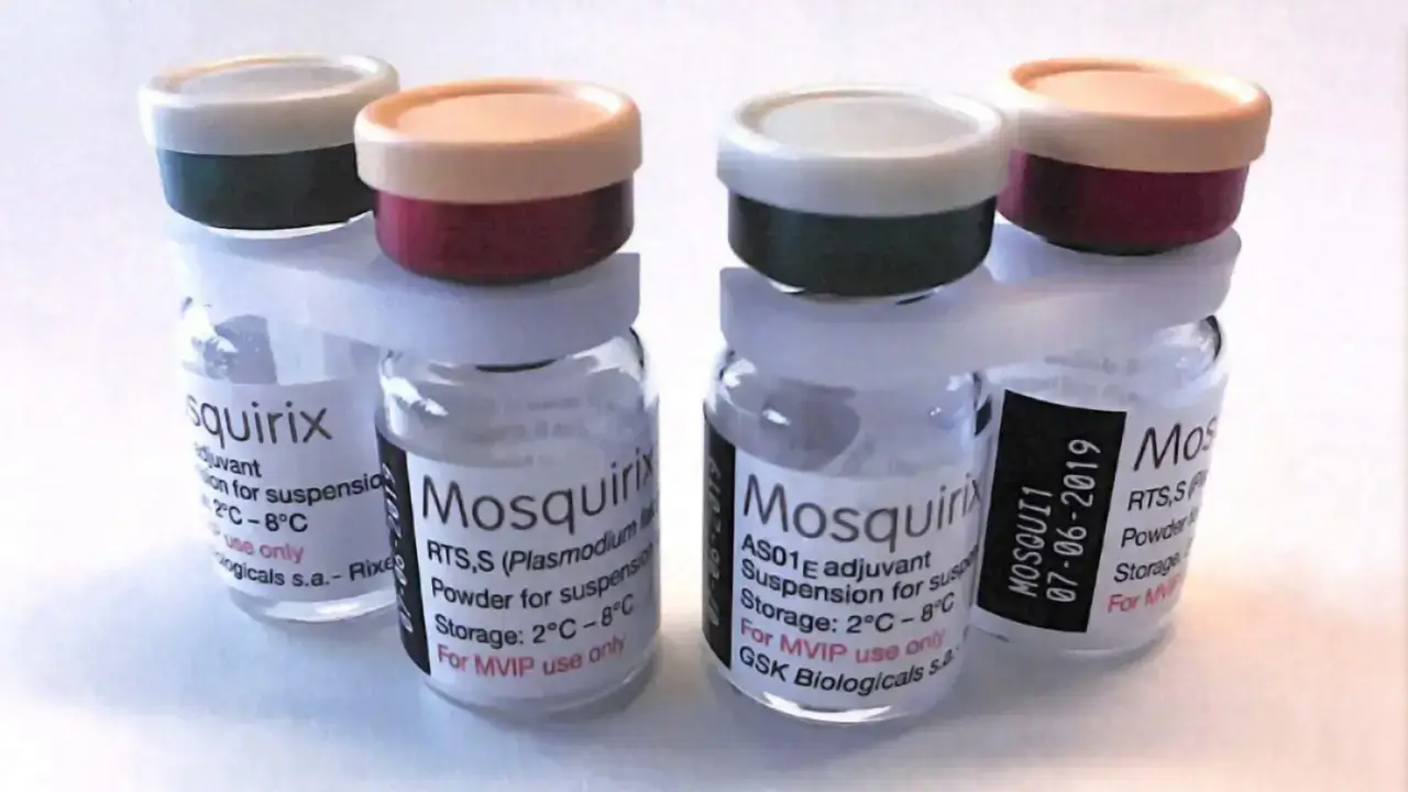 RTS,S/AS01E devient le tout premier vaccin antipaludique autorisé au ...